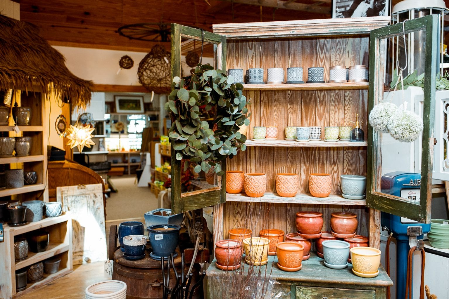 Gulley's Garden Center | Houseplants - Outdoor Plants - Supplies